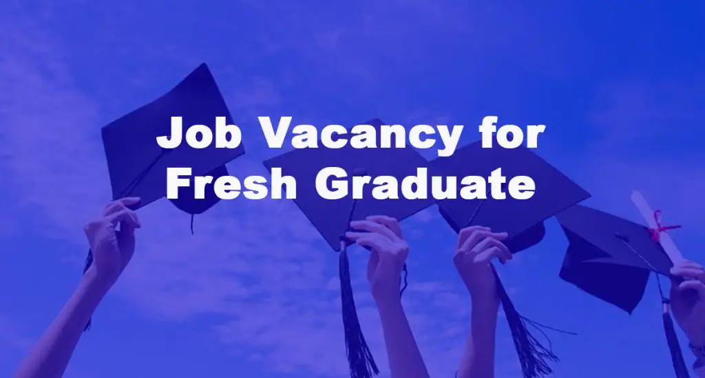 Job vacancy for Fresh Graduate July 2021
